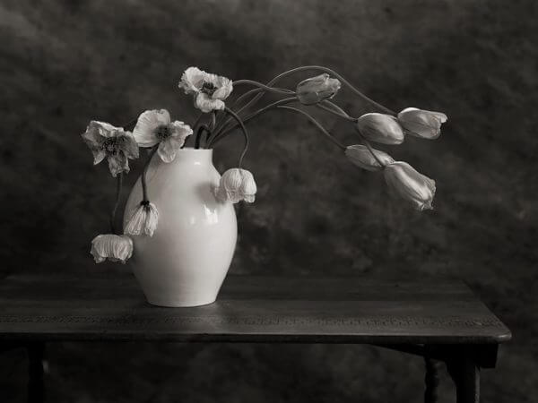 Yumiko and Kenro Izu: In Harmony | Southwest Contemporary