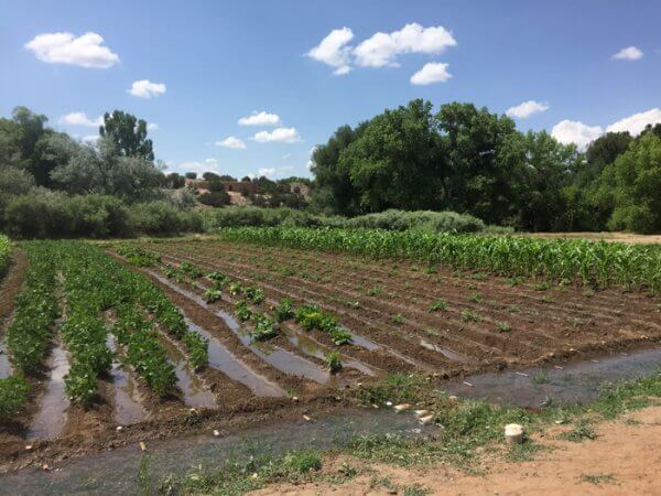 JB Jackson and the Exploration of the American Cultural Landscape ...