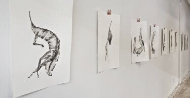 Sapira Cheuk: New Vessels, Unmade Structures | Southwest Contemporary