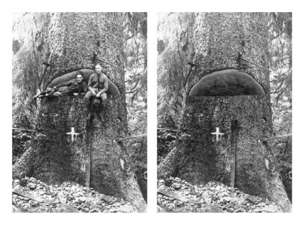 12 NM Artists to Know Now Update: William T. Carson | Southwest ...