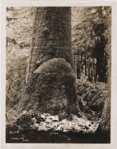 12 NM Artists to Know Now Update: William T. Carson | Southwest ...
