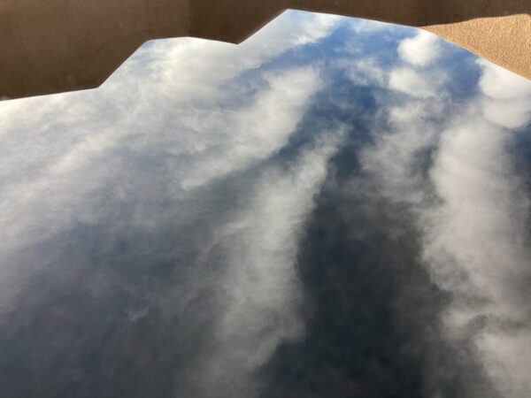 Catherine Roberts Leach: Finding Creativity in the Pandemic [sponsored ...