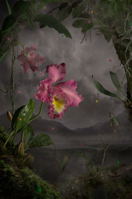 Jason DeMarte Reimagines Paradise at Denver’s Rule Gallery