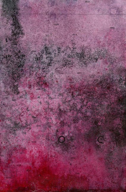 Shannon Christine Rankin: 12 New Mexico Artists to Know Now 2021 ...