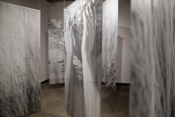 Southwest artist Julia C. Martin | Southwest Contemporary