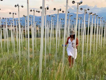 Review: Patrick Marold: The Windmill Project | Southwest Contemporary