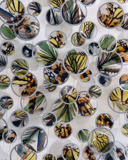 Review: Temporary in Nature at Lisa Sette Gallery | Southwest Contemporary