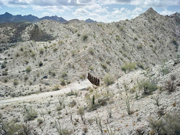 Review: Temporary in Nature at Lisa Sette Gallery | Southwest Contemporary