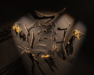 Cherish Marquez | Southwest Contemporary