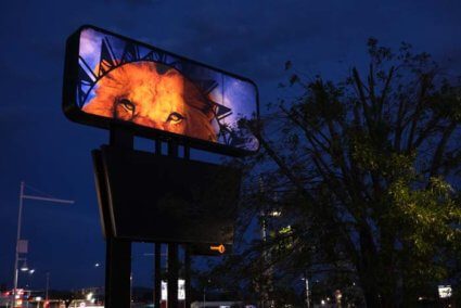 Friends of the Orphan Signs | Southwest Contemporary