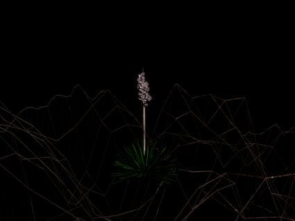 Cherish Marquez | Southwest Contemporary