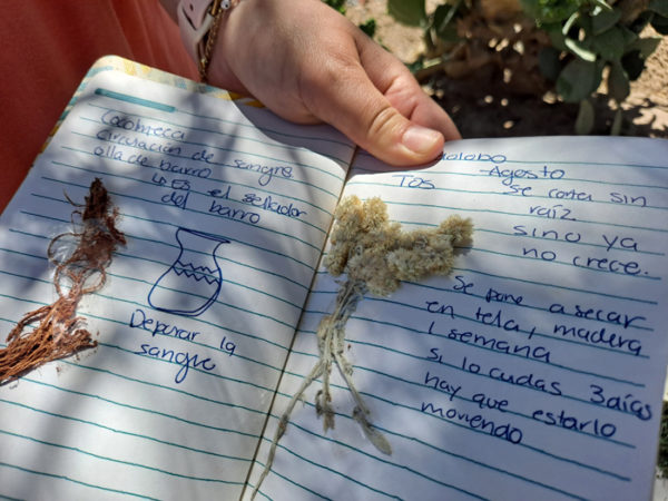 Lessons Learned from the Chihuahuan Desert | Southwest Contemporary
