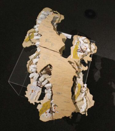 Environment, Disability, and the Drying of the Great Salt Lake ...