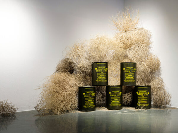 Ahní Rocheleau: 12 New Mexico Artists to Know Now 2023 | Southwest ...