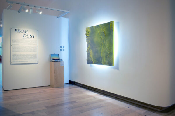 Jessica Kinsey Curator Profile | Southwest Contemporary