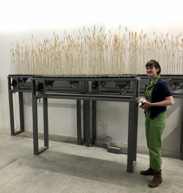 Alex Branch Studio Visit | Southwest Contemporary