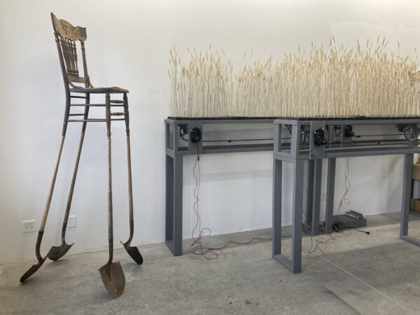 Alex Branch Studio Visit | Southwest Contemporary