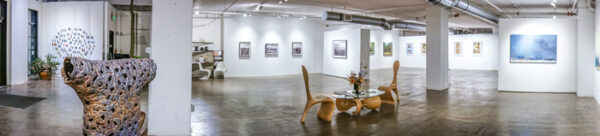 Bobbi Walker, Gallerist and Curator | Southwest Contemporary