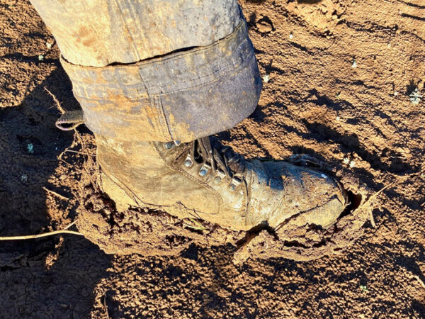 Three Ways of Walking The Lightning Field | Southwest Contemporary