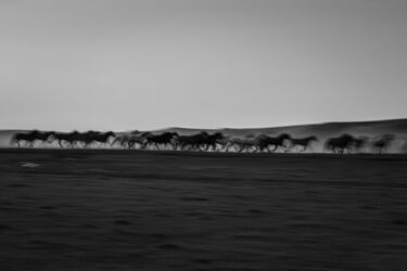 Russel Albert Daniels Investigates Native Displacement | Southwest ...