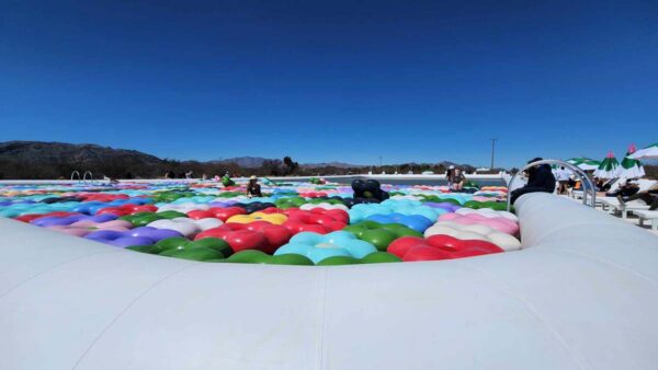 Wading in the Shallows: The Conundrum of Cj Hendry's Public Pool | Southwest Contemporary