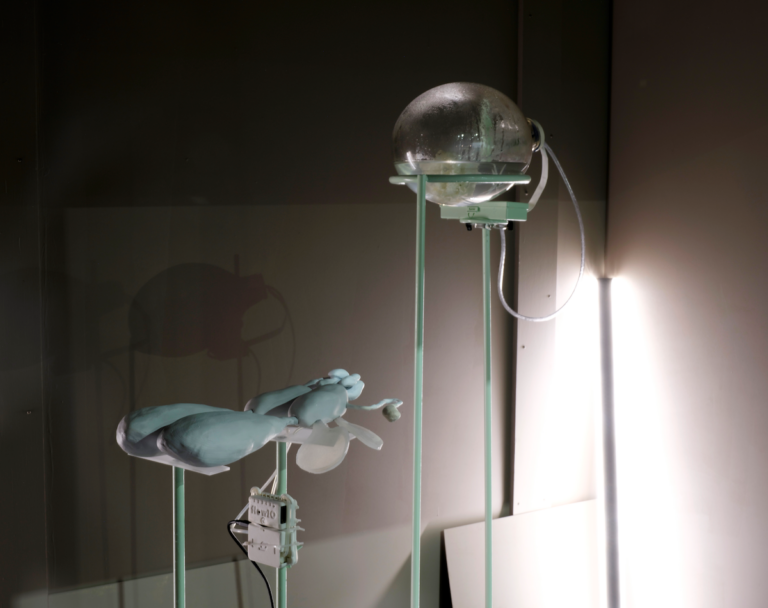 CURRENTS 2024 Celebrates its 15th Year