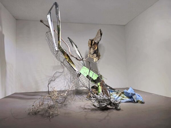 Bonny Leibowitz: Radical Futures | Southwest Contemporary