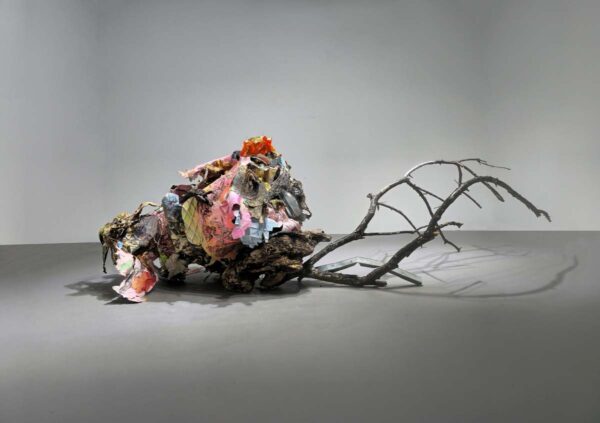 Bonny Leibowitz: Radical Futures | Southwest Contemporary