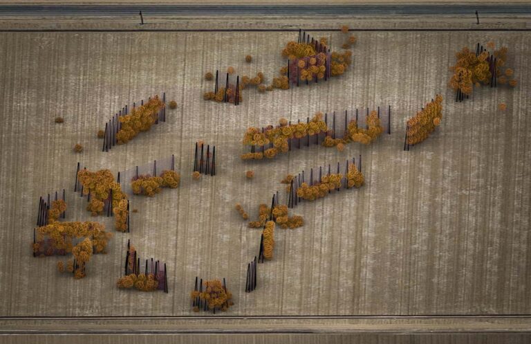 Radical Architecture, Radical Imagination | Southwest Contemporary