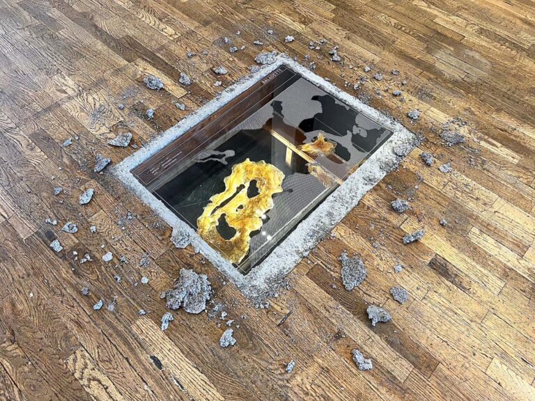 An Aesthetic of Repugnance: A Review of Sam Grabowska’s Haptic Terrain ...