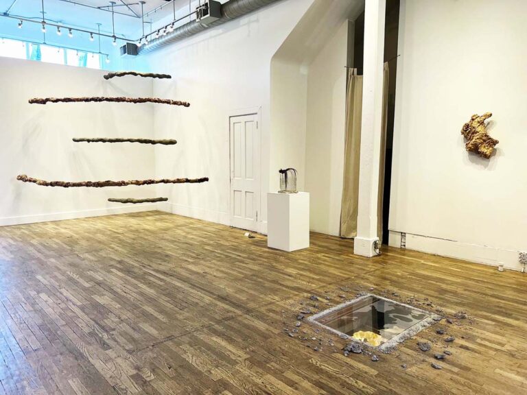 An Aesthetic of Repugnance: A Review of Sam Grabowska’s Haptic Terrain ...