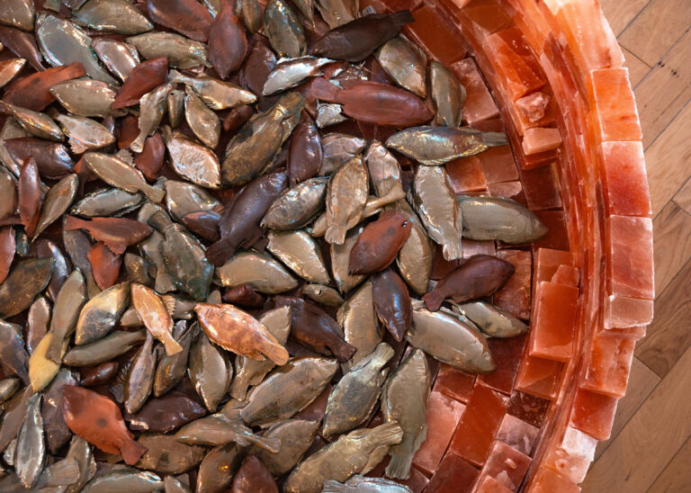 Salt Lines Converge at Southern Utah Museum of Art | Southwest Contemporary