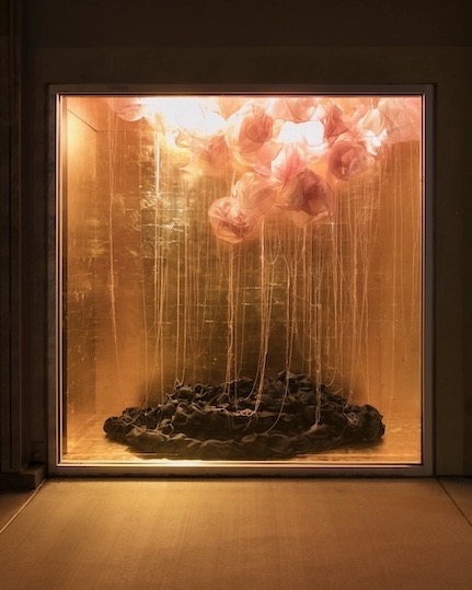 Window Box Project: Marianne Hall: Between Heaven and Earth | Southwest ...